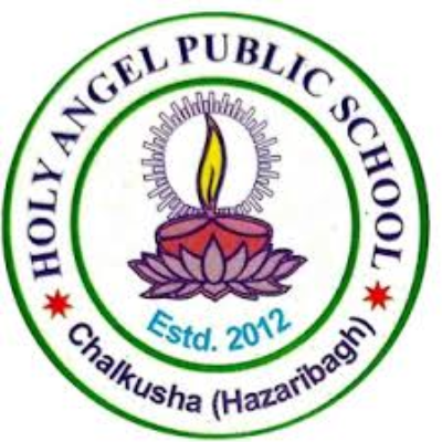 Holy Angels Public School, KR Puram, Bangalore - My School Admission